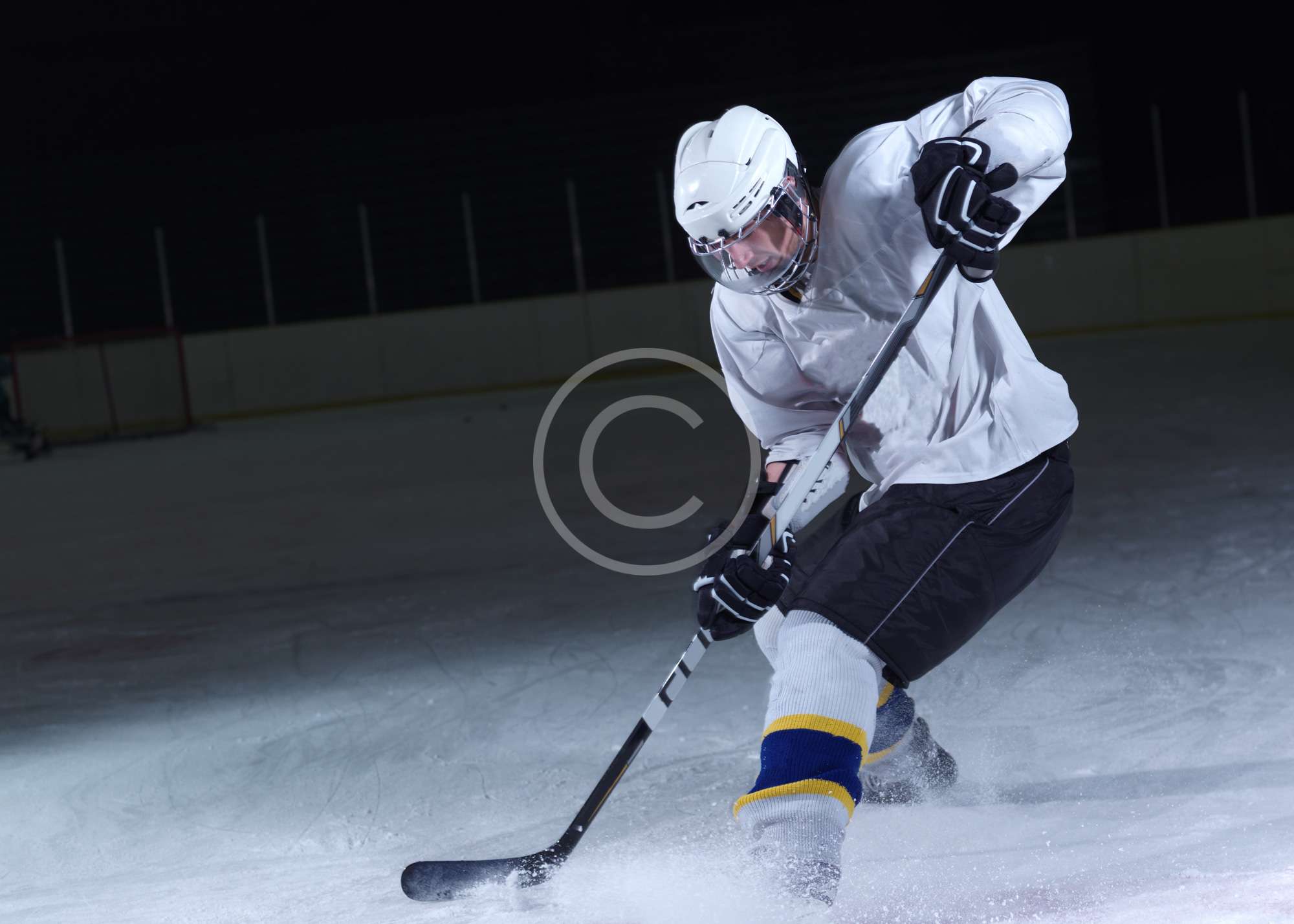 Intensive Goalie Camp - The Hockey Gods