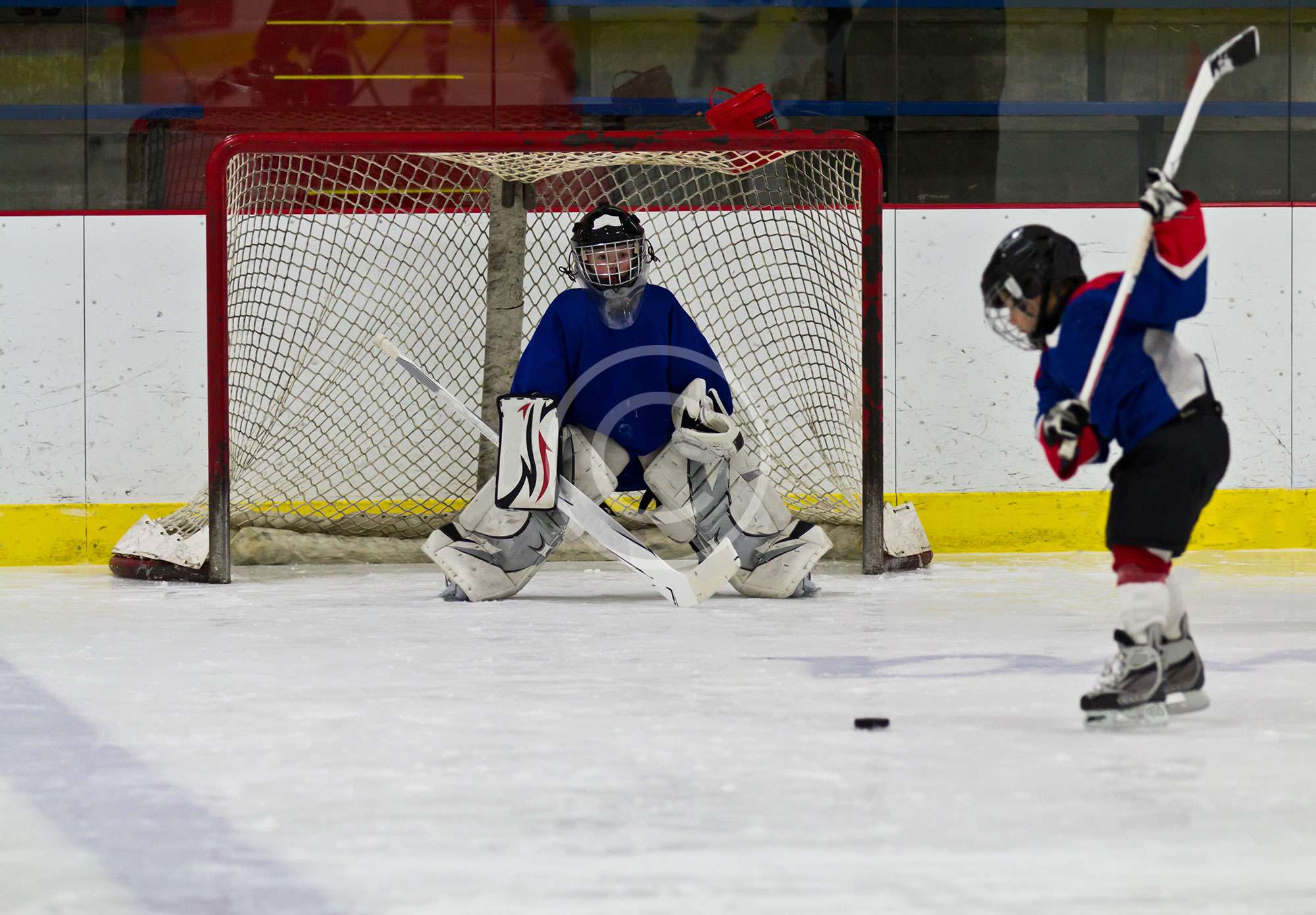 Gallery Grid – The Hockey Gods